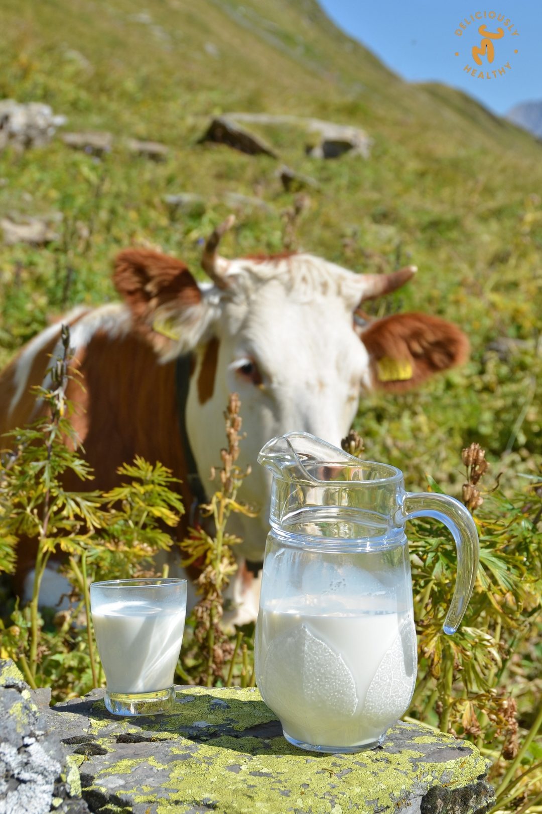 About Us – The Muuca